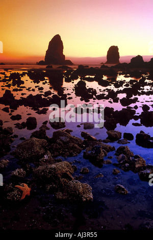 Fall colors and Haystack Rock, Red River Gorge, Kentucky Stock Photo ...