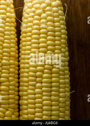 Detail shot of fresh corn on cob closeup Stock Photo - Alamy
