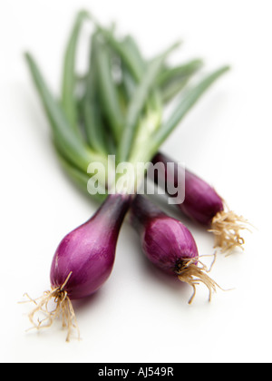 Three Red spring onions Stock Photo - Alamy