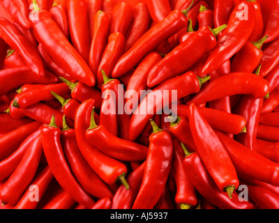 Red Hot Chillies Peppers Stock Photo - Alamy
