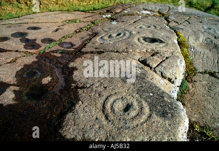Ancient Cup and Ring Marked Stone on Eel Hill Barningham Moor Teesdale ...