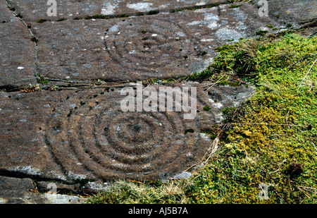 Prehistoric cup and ring marks rock art carved on rock at Brigantium ...
