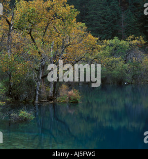Autumn color of Jiuzhaigou Stock Photo - Alamy