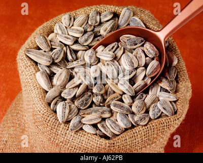 Sunflower Seeds in container on white background. Helianthus annuus ...