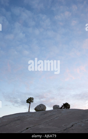 Glacial erratics at Olmsted Point Sierra Nevada Mountains Yosemite ...