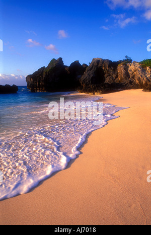 Tropical sand beach on an island in Thailand Stock Photo - Alamy
