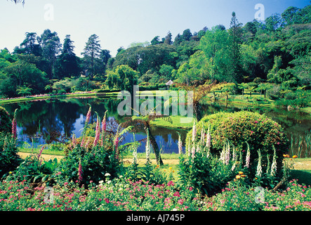 Vumba Botanical Gardens, Vumba Botanic Gardens, Botanical Gardens ...