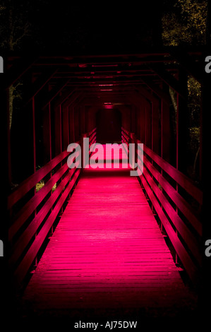 Enchanted Forest lighting display, Perthshire, Scotland Stock Photo - Alamy
