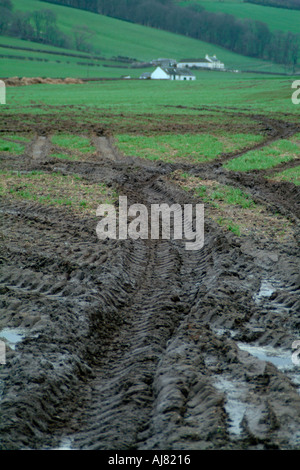 Deep ruts in farm track filled with muddy water following heavy rain in ...