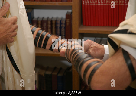 A jewish man laying Tifillin during the daily prayer Stock Photo - Alamy