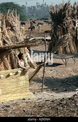 Pakistan Phander Valley Stock Photo - Alamy