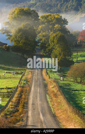 Beautiful shot of a pathway in the middle of a grassy field under a ...