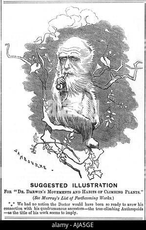 Victorian caricature of Charles Darwin, an English naturalist and ...