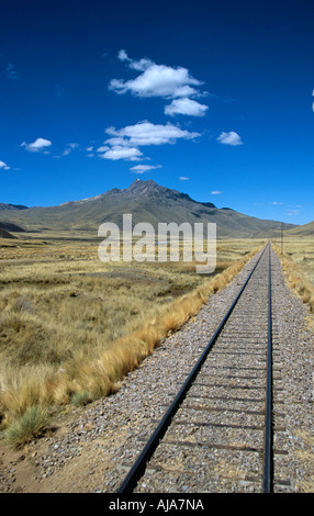Perurail train travelling through the Andes from Ollantaytambo to Machu ...