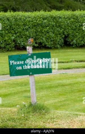 Robin on sign Stock Photo - Alamy