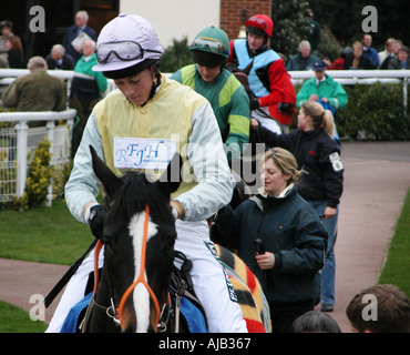 Thoroughbred race horses in the parade ring at Goodwood Race Course, UK ...