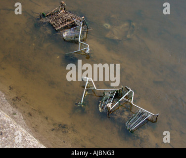 Four weed covered supermarket trolleys dumped in act of vandalism on ...