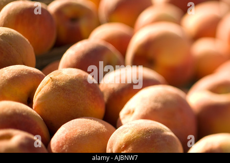 Peaches peach fruit at the farmers market Okanagan Valley, Kelowna ...