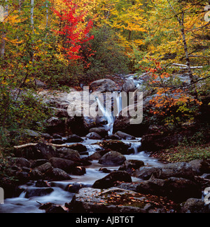 Small waterfall on an autumn day in the Palatinate Forest of Germany ...