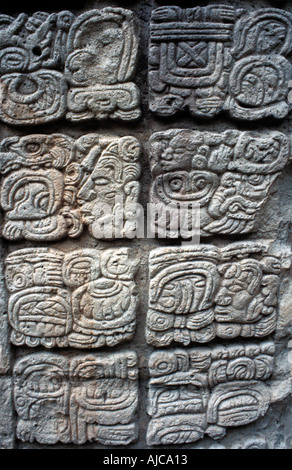 These MAYAN GLYPHS carved on the back of a STELA tell the story of ...