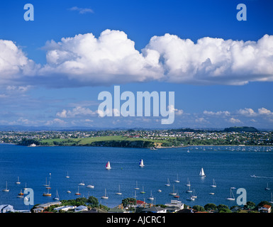 Harbourside view of Devonport Auckland New Zealand Stock Photo - Alamy
