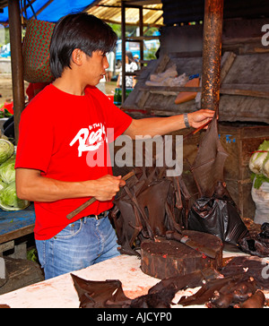 Roast Bats for Sale to Eat in a market in Sulawesi, Indonesia Stock ...