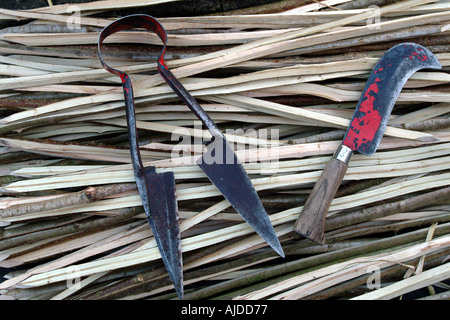 Thatchers Tools on Hazel Spars Stock Photo - Alamy
