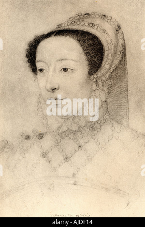 Marriage of Henry II and Catherine de' Medici, The Dowry, c. 1562 Stock ...