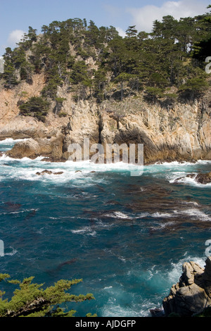 Sea wolves, lobos marinos, Punta Norte, Chubut province, Argentina ...