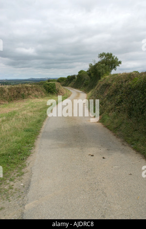 Quiet Cornish country lane. Cornish country road leading into the ...