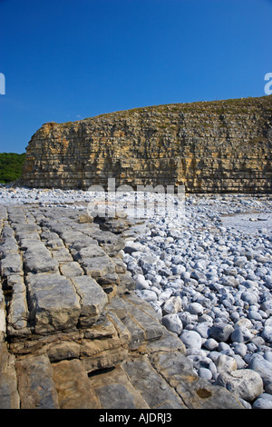 The stones and cliffs of Llantwit Major Beach in the evening sun, South ...