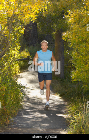 man jogging along a woodland path Stock Photo - Alamy
