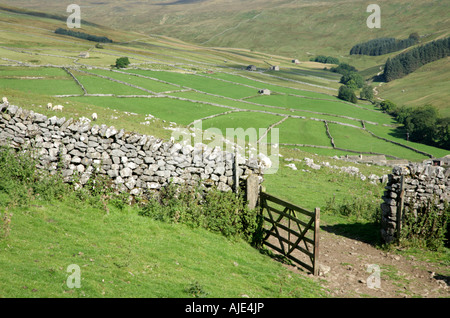 Litton in the Yorkshire Dales above Skipton Stock Photo - Alamy