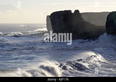 Trow Rocks at South Shields, UK Stock Photo - Alamy