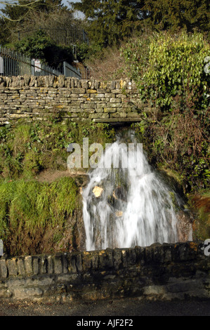 The stone crocodile spring water spout in the cotswold village of ...