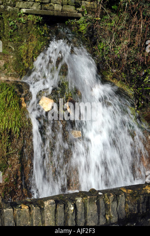 The stone crocodile spring water spout in the cotswold village of ...