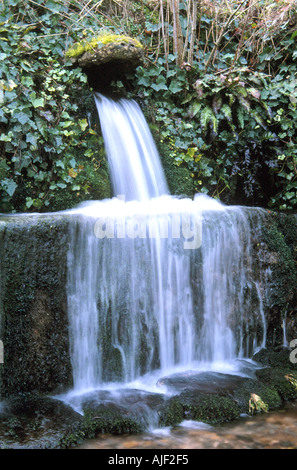 The stone crocodile spring water spout in the cotswold village of ...