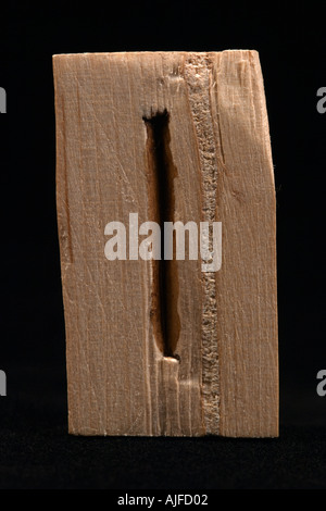 Traditional rune staves Stock Photo - Alamy