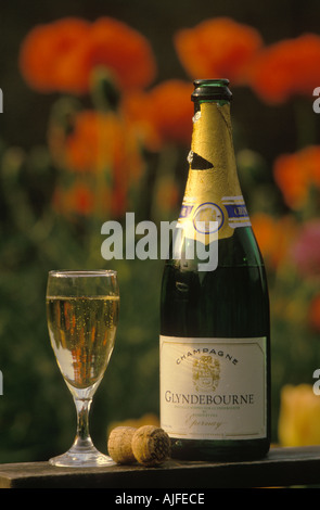 Glyndebourne own label Champagne bottle, Glyndebourne Festival Opera ...