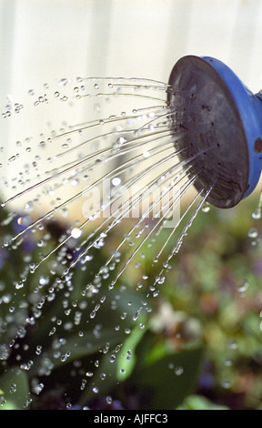 close-up of a watering can pouring onto a potted flower. happy ...
