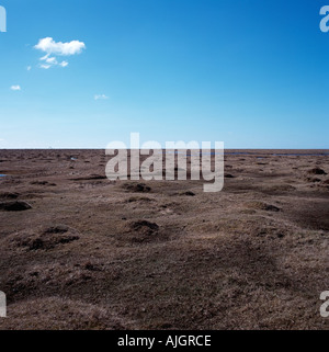 Landscape; Laesoe, Denmark Stock Photo - Alamy