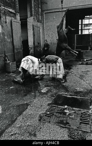 FRANCE SLAUGHTERHOUSE PARIS VAUGIRARD IN 1976 Stock Photo - Alamy