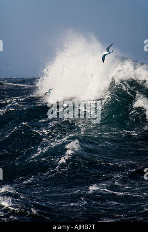 Rough sea in the Denmark Strait (or Greenland Strait) in the North ...