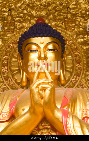 Bailin Zen Buddhist Temple s 10 000 Buddha Hall one of world s largest ...