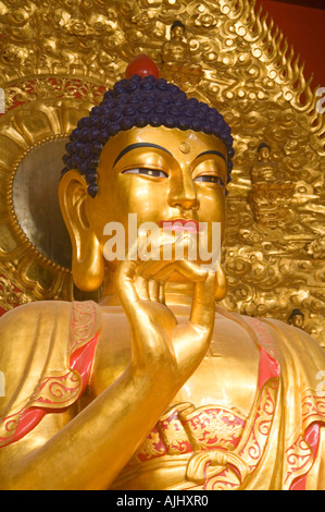 Buddha in Bailin Zen Buddhist Temple s 10 000 Buddha Hall one of world ...
