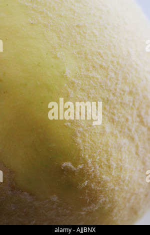 Close-up of fruit in jelly Stock Photo - Alamy