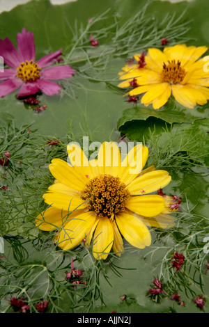 Composition with flowers, arrengment Stock Photo - Alamy