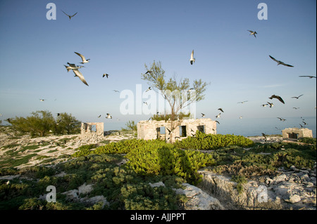 Elbow Cay lighthouse Cay Sal Bank Bahamas Islands Stock Photo - Alamy