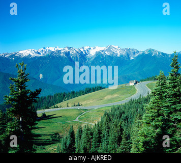 Hurricane Ridge, Olympic National Park, Washington Stock Photo - Alamy