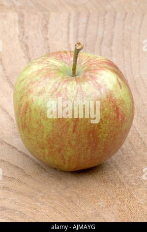 Single Jonagored Apple (Malus domestica) on white background Stock ...
